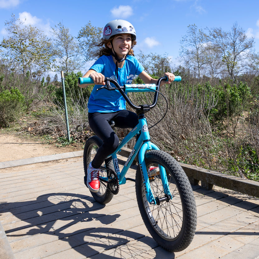 Basher 20" – SE BIKES